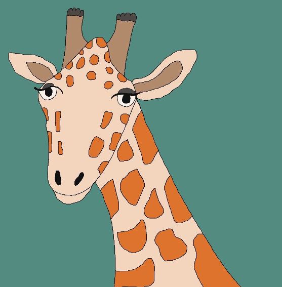 my portfolio - iuliia chefanova